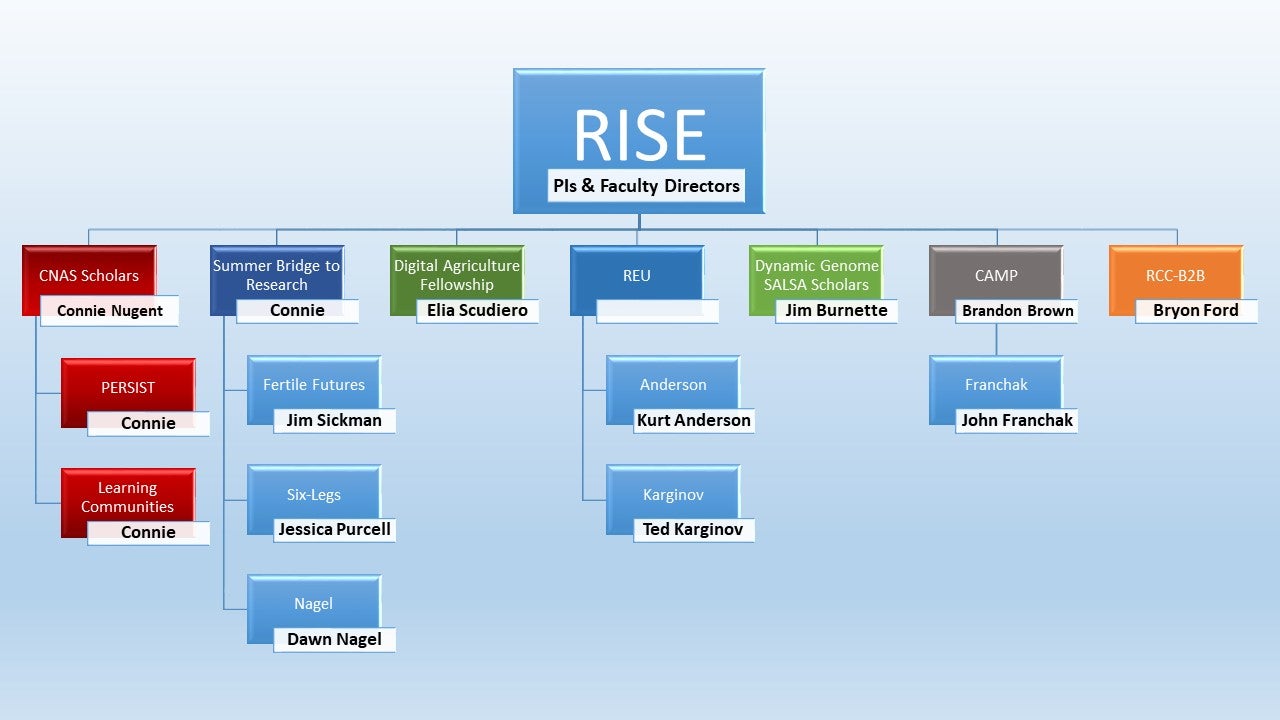 RISE Programming | Research in Science & Engineering (RISE)