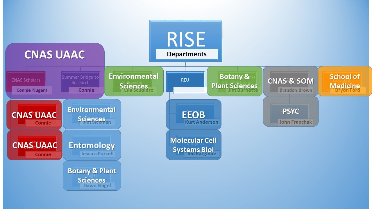 RISE Programming | Research in Science & Engineering (RISE)